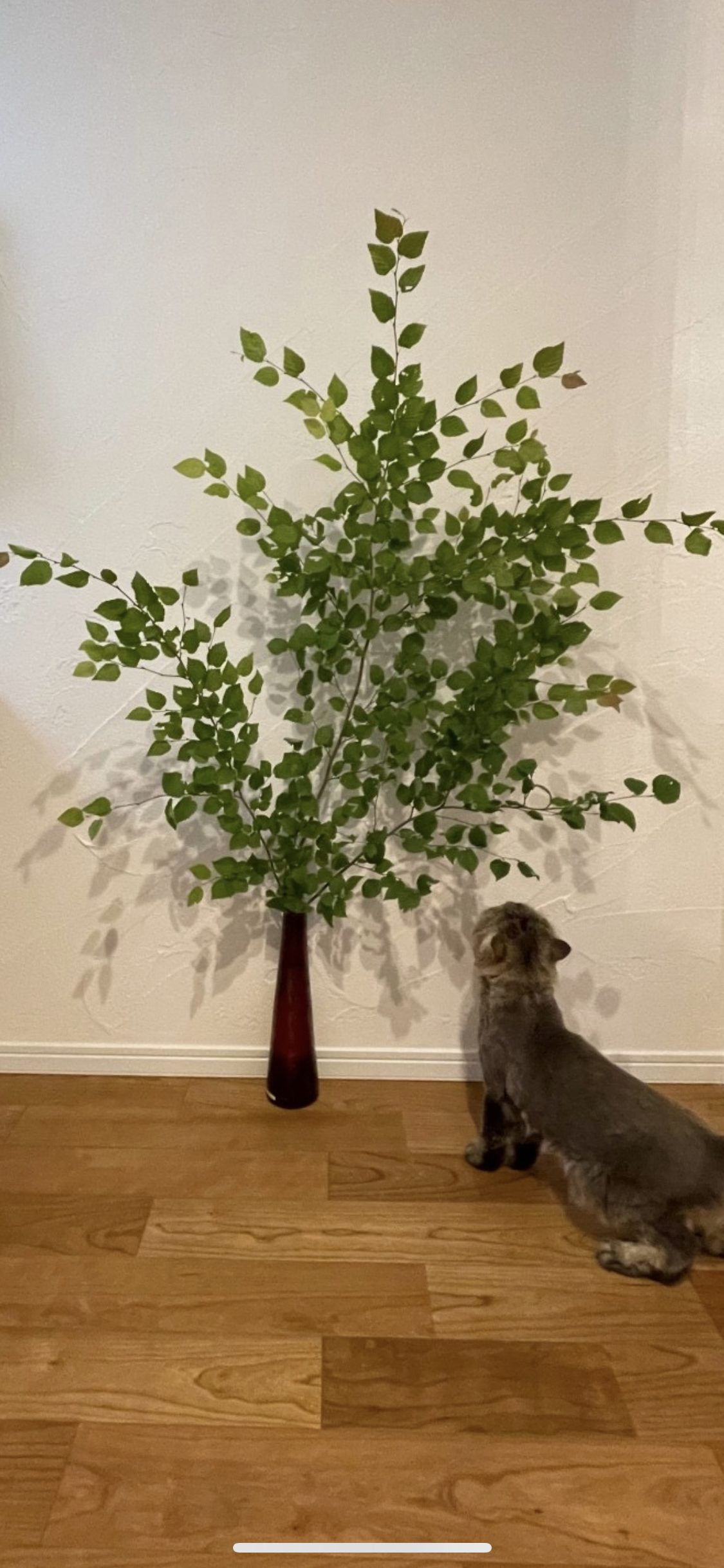 Kado: The Japanese Art of Flower Arrangement - Kuokoaday: Discover Japan