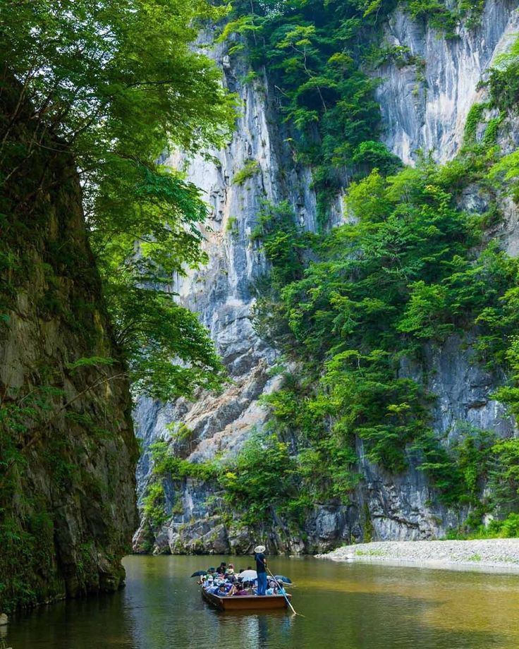 A Taste of Iwate: Discover Local Food Specialties and Where to Enjoy Them